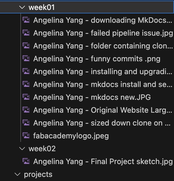1. Project Management - Angelina Yang - Fab Academy